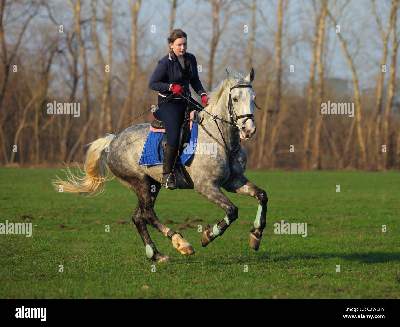 Riding horse running hi-res stock photography and images - Alamy