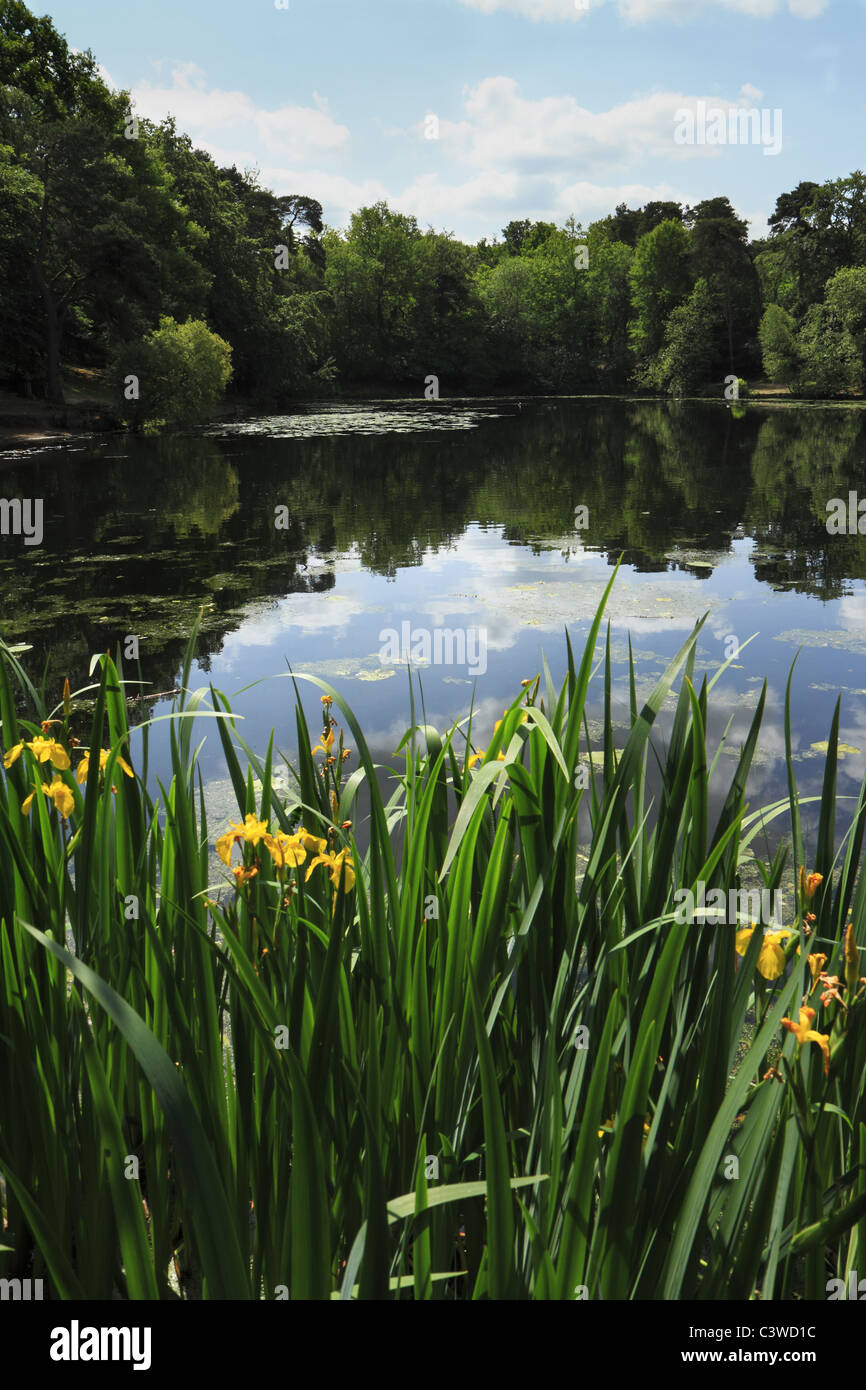 Keston Ponds, Bromley, Kent, UK Stock Photo - Alamy