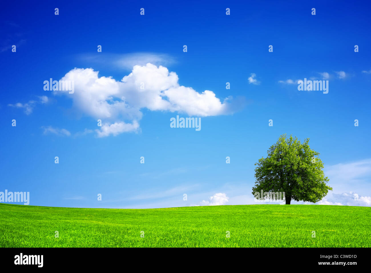 Green planet - Earth Stock Photo - Alamy