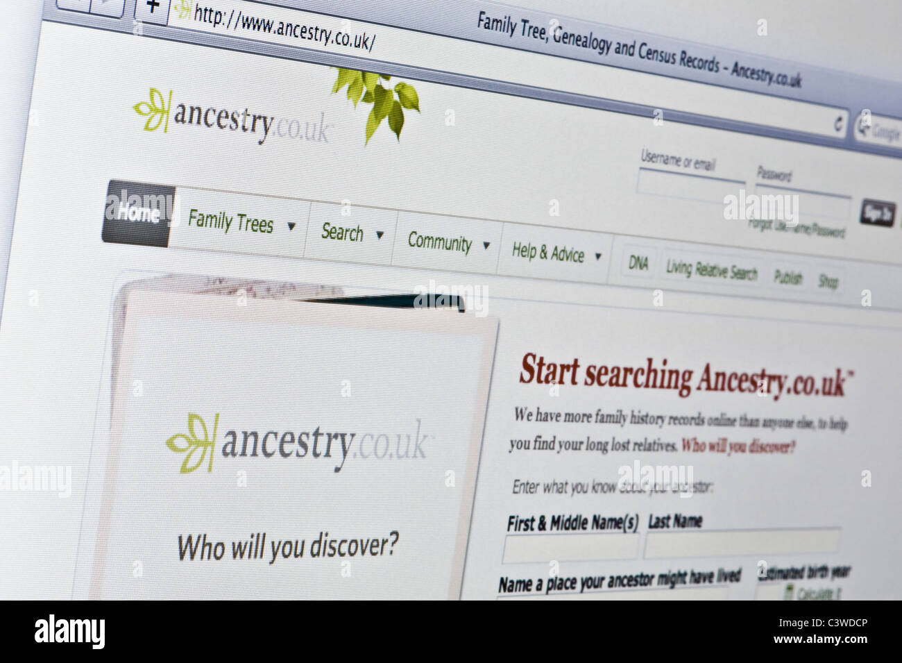 Family tree logo hi-res stock photography and images - Alamy