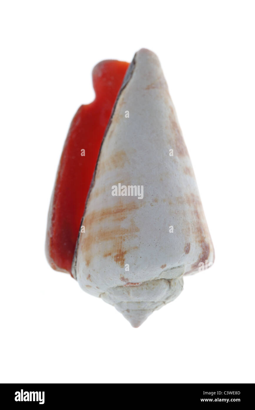 Separate fish shape hi-res stock photography and images - Alamy