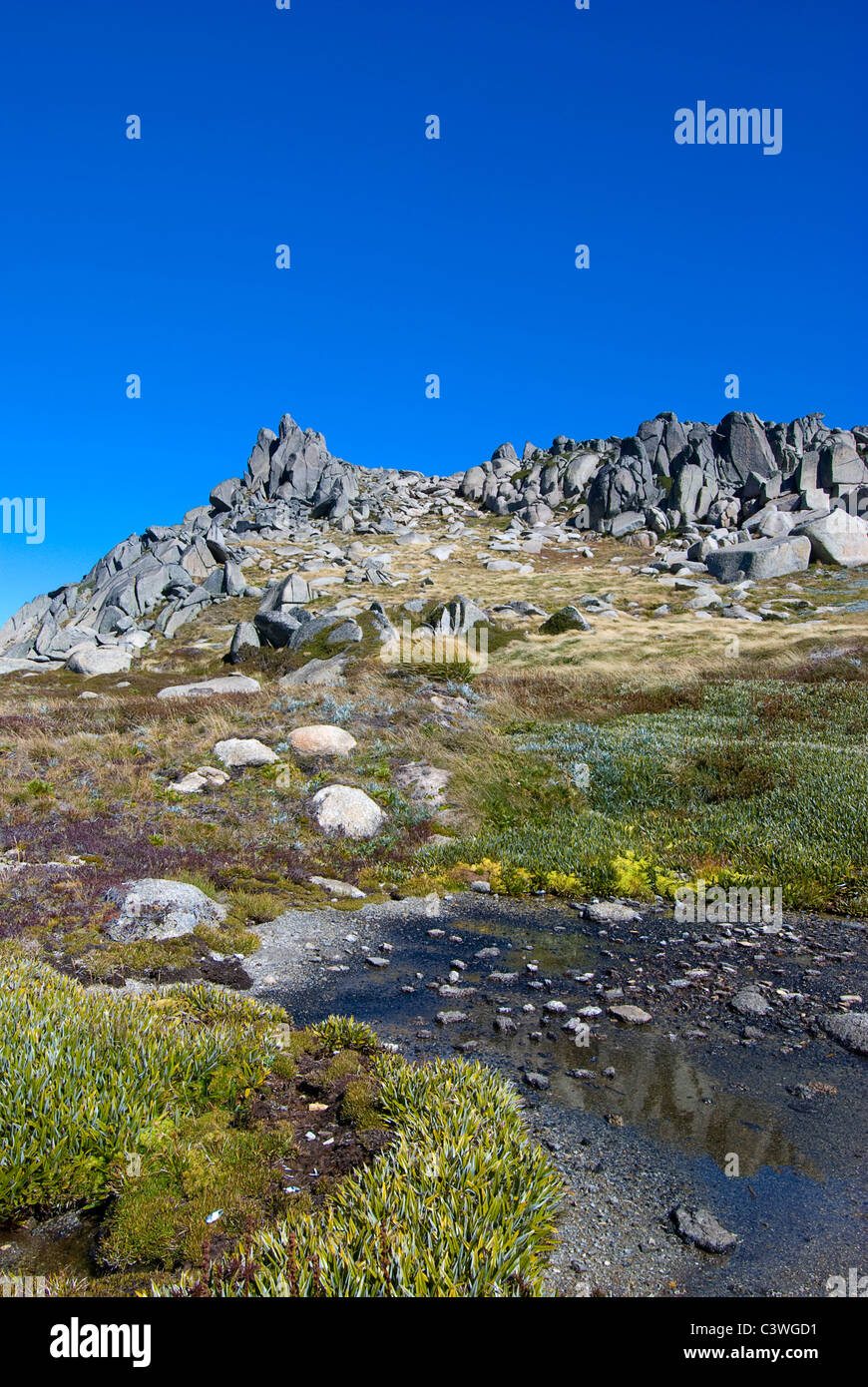 The Australian landscape in the Snowy Mountains Stock Photo - Alamy