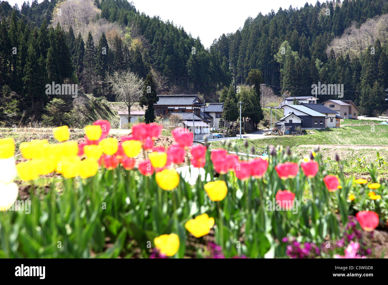 Japan farming village hi-res stock photography and images - Alamy