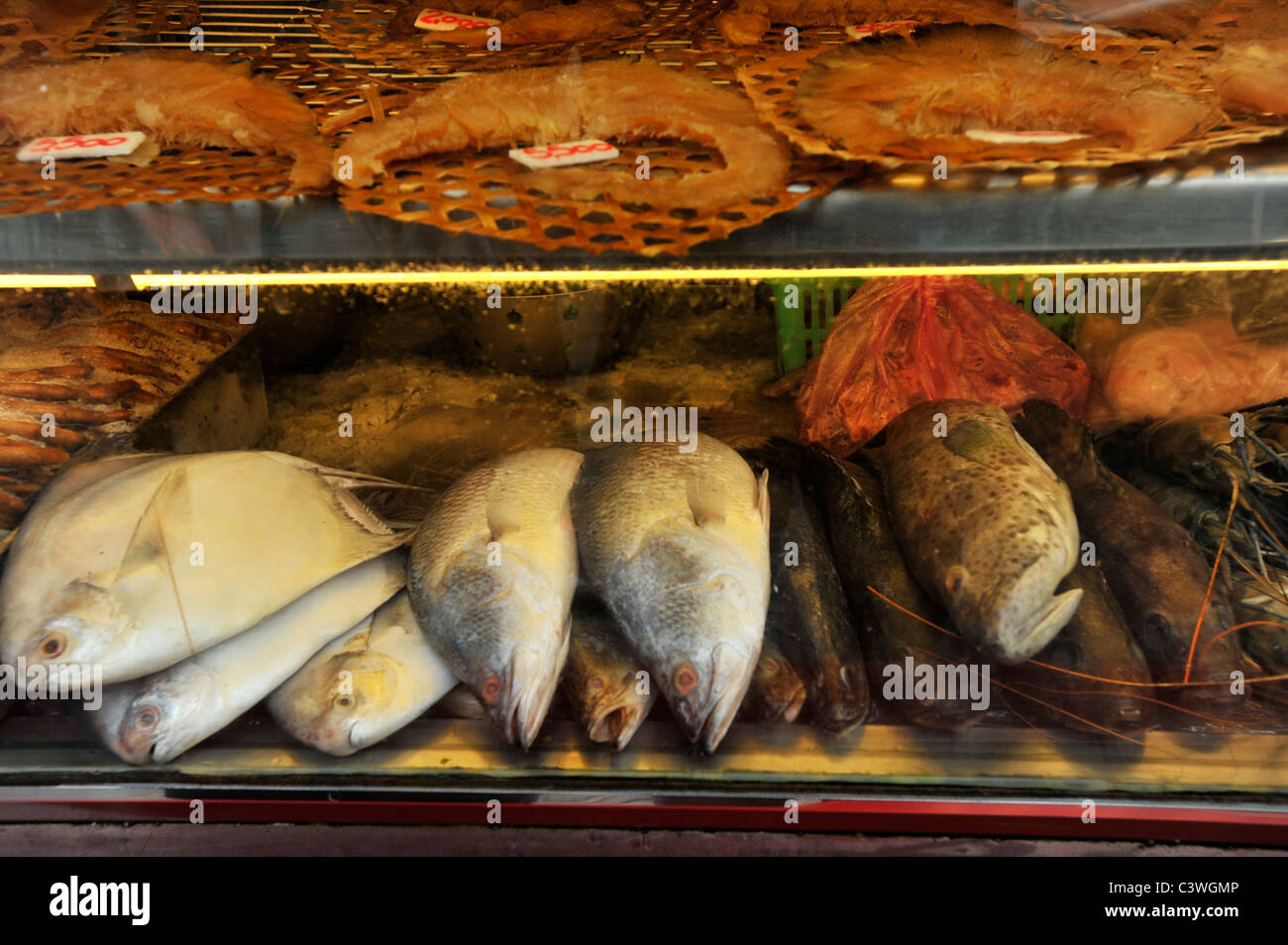 shark fins and other fish on display , shark fin speciality restaurant ...
