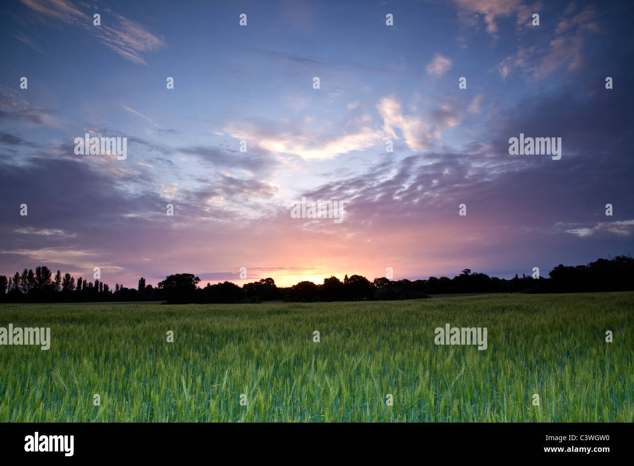 Sun just below tree line hi-res stock photography and images - Alamy