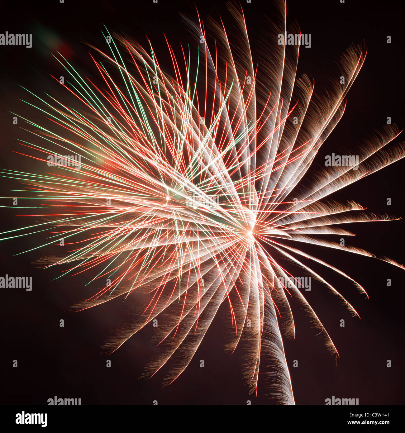 Part of the Hogs, Pies, and Fireworks festival fireworks by Central ...