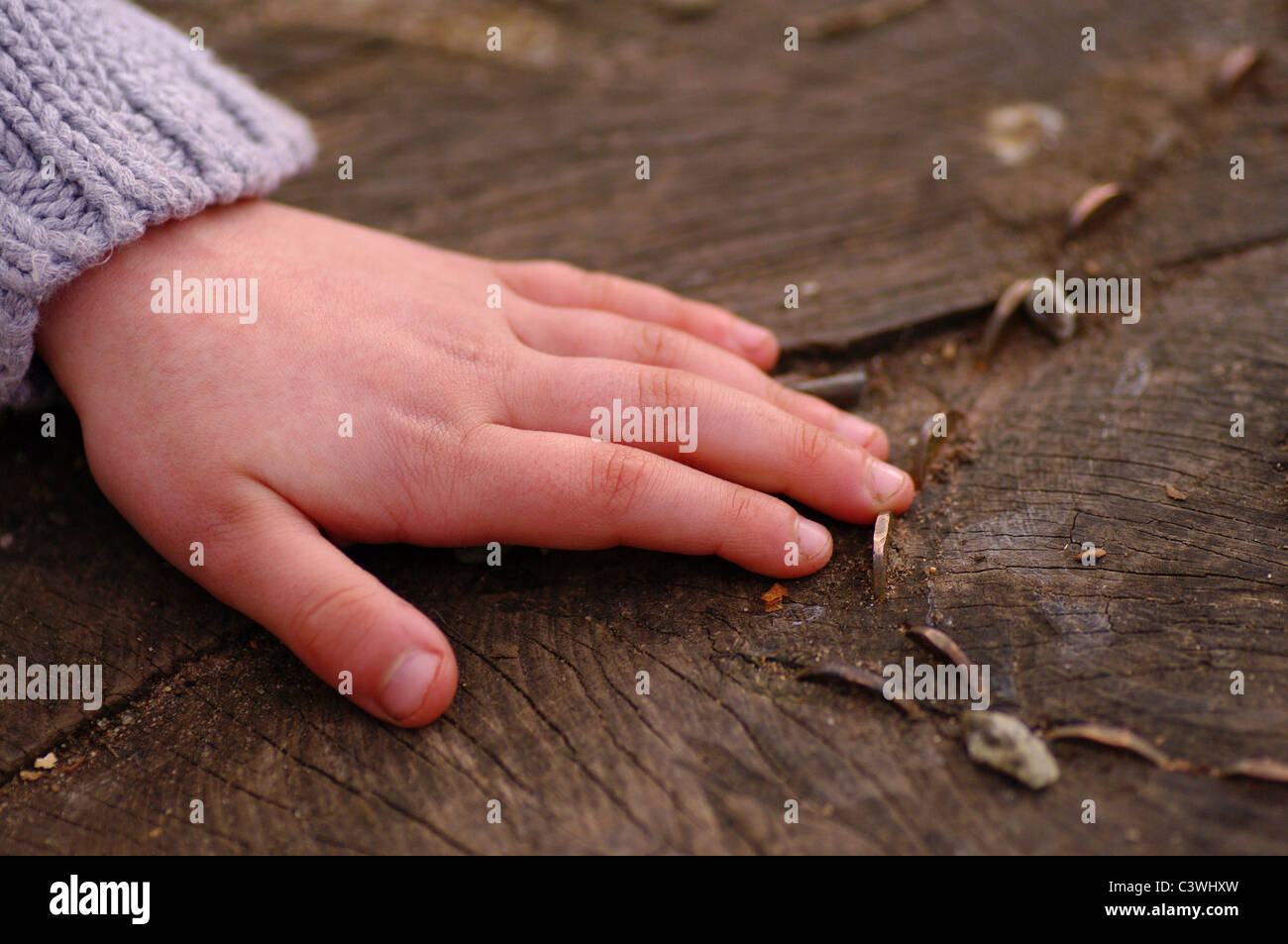 Coins embedded in stump hi-res stock photography and images - Alamy