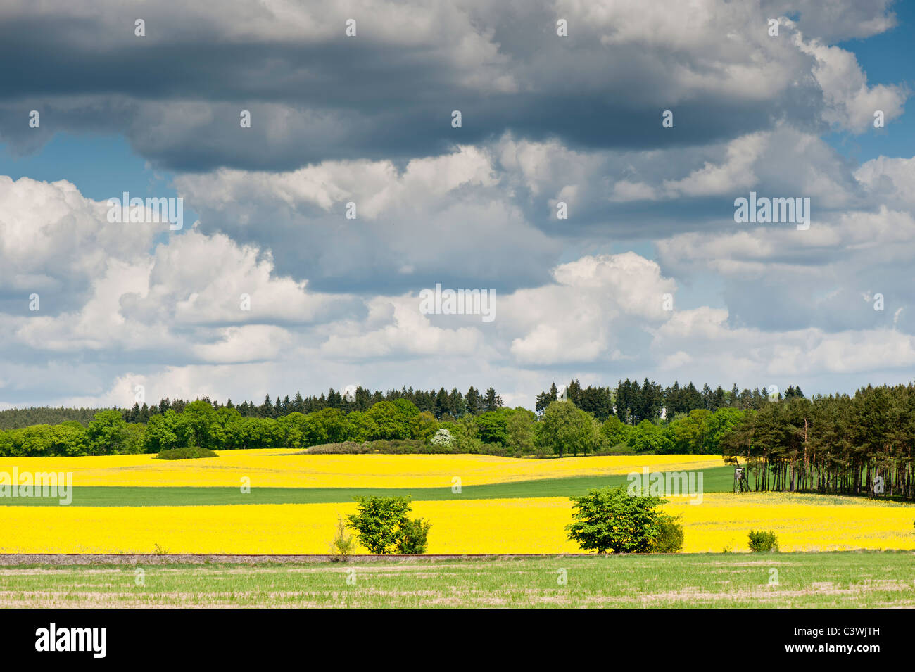 Polish rural landscape hi-res stock photography and images - Alamy