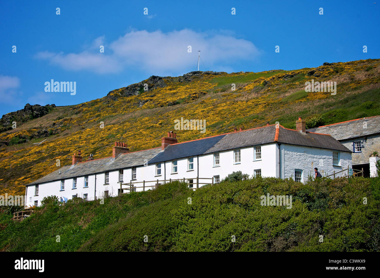 Boscastle Cornwall UK National Trust Village Stock Photo - Alamy
