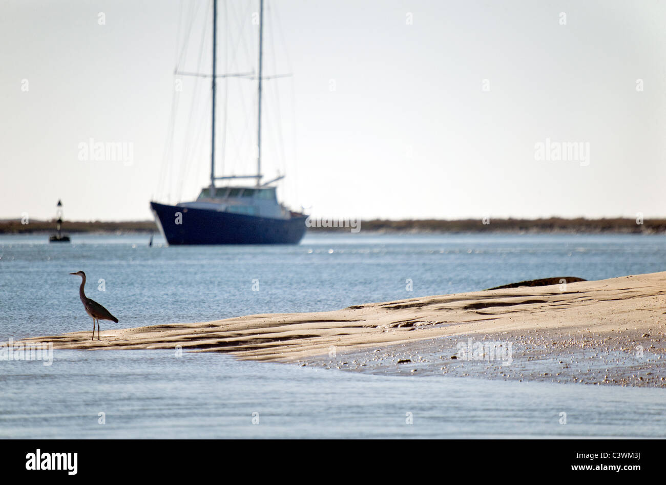 The nature park park of Ria Formosa Nature Park lagoon, Faro, Algarve ...