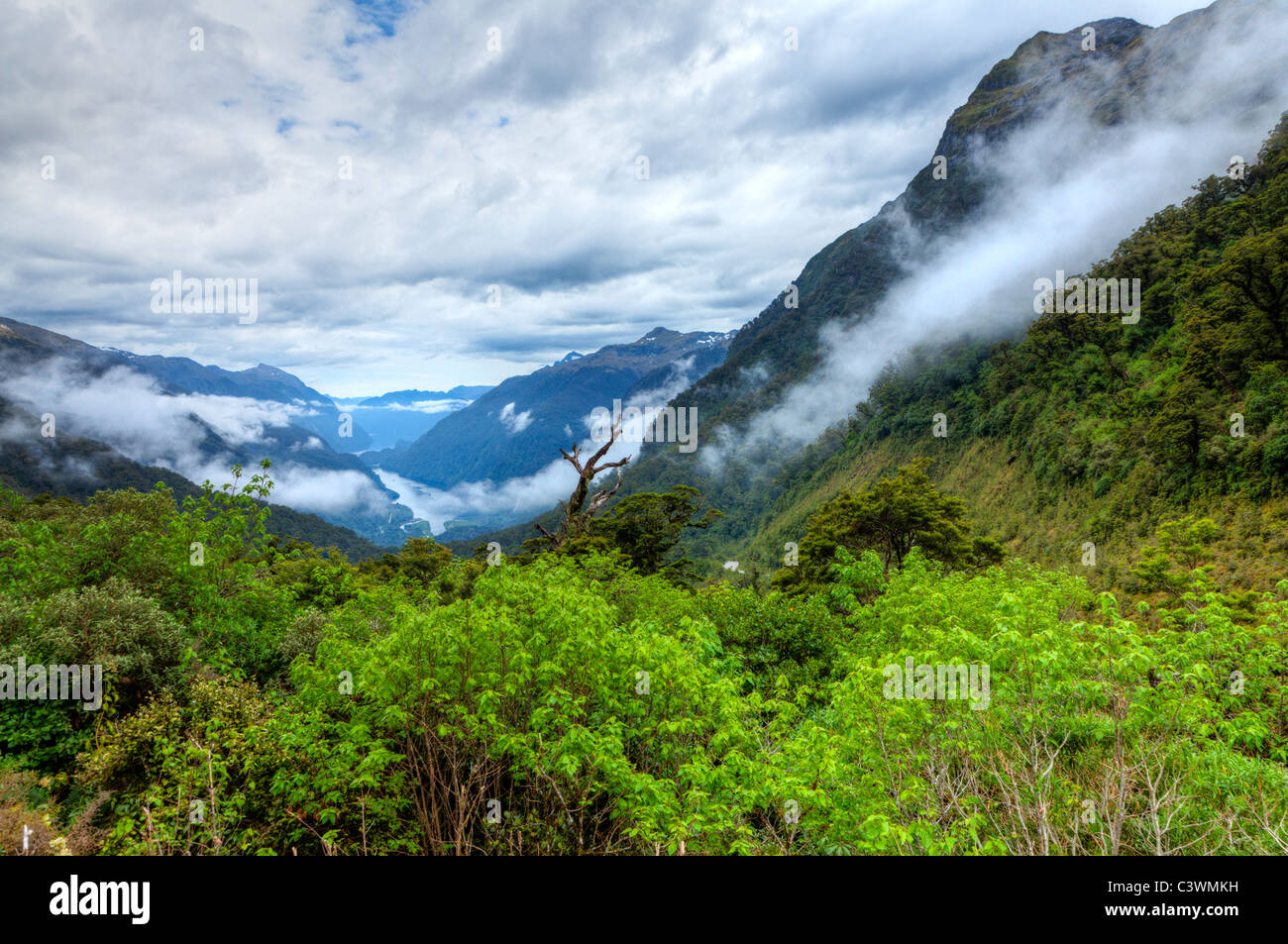 Scenic overlook of Doubtful Sound in New Zealand Stock Photo - Alamy