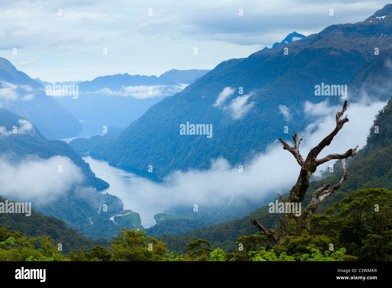 Scenic overlook of Doubtful Sound in New Zealand Stock Photo - Alamy
