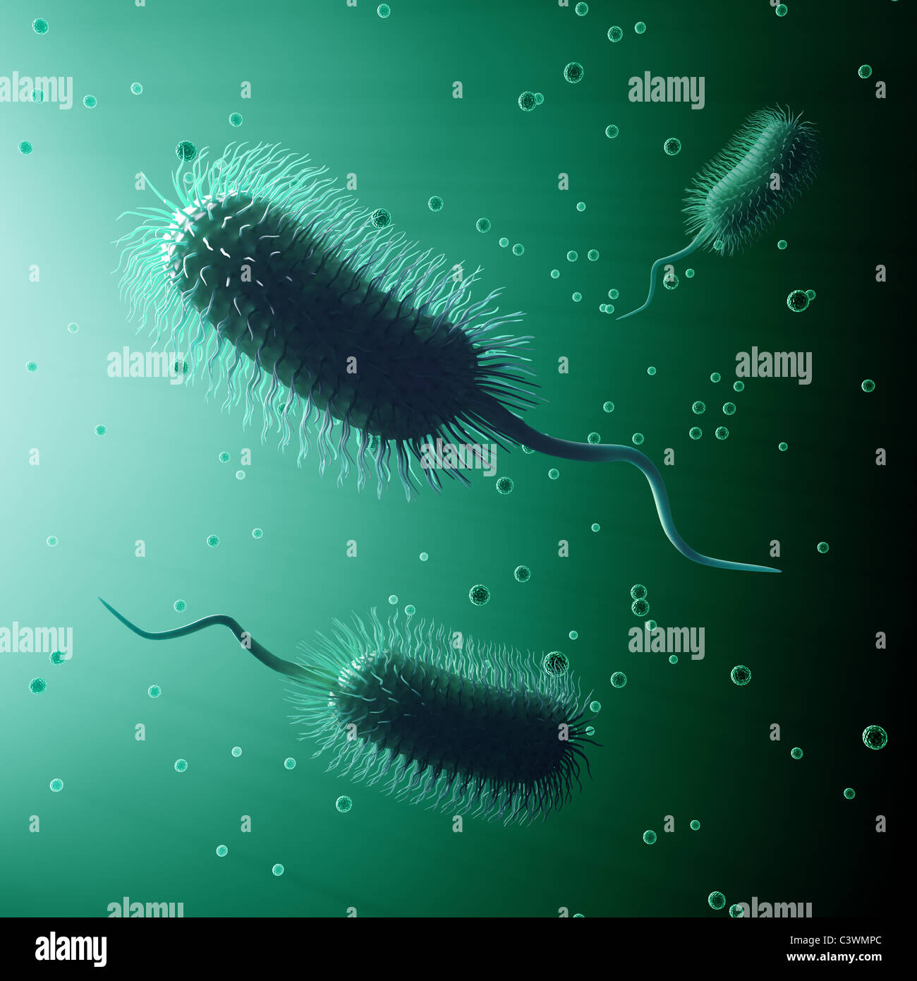 Electron microscope cell death hi-res stock photography and images - Alamy