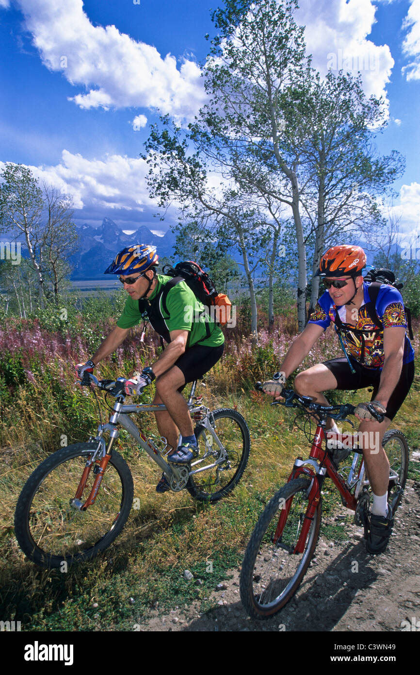 Two men riding mountain bikes Stock Photo - Alamy