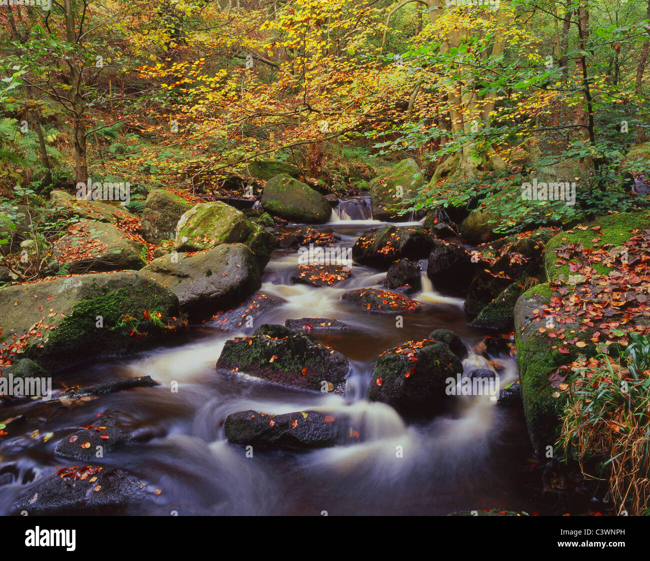 UK,Derbyshire,Peak District,Grindleford,Padley Gorge Stock Photo - Alamy