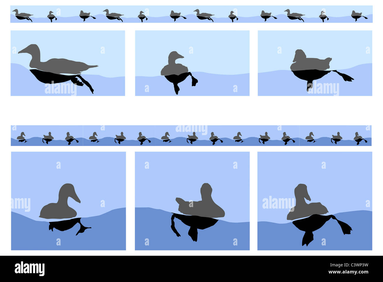 floating ducks motif banners Stock Photo - Alamy
