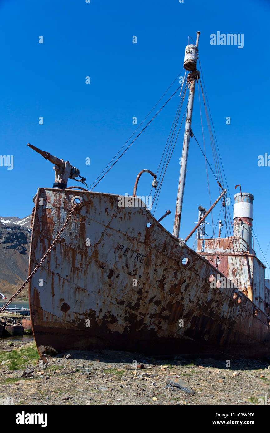 Petrel station hi-res stock photography and images - Alamy