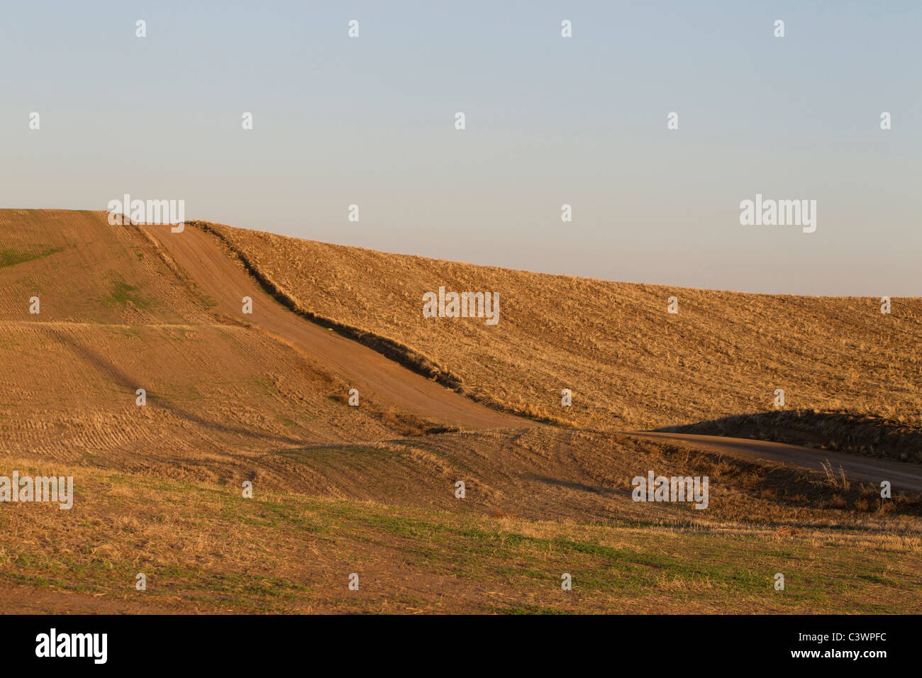 Golden palouse hi-res stock photography and images - Alamy