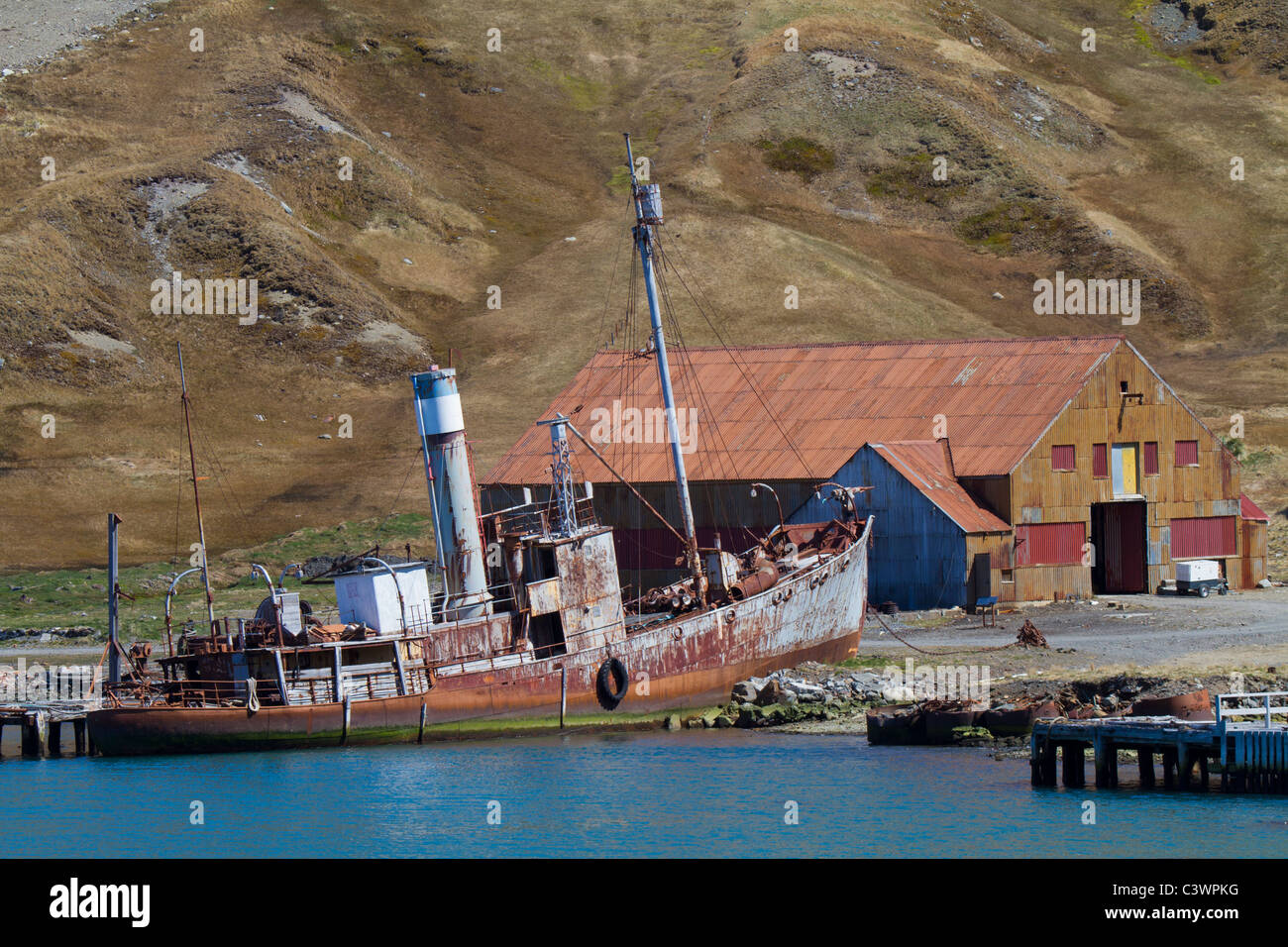 Wreck of the Petrel, Grytviken, South Georgia Island Stock Photo - Alamy