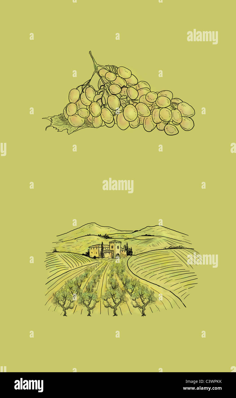 Vineyard landscape symbols hi-res stock photography and images - Alamy