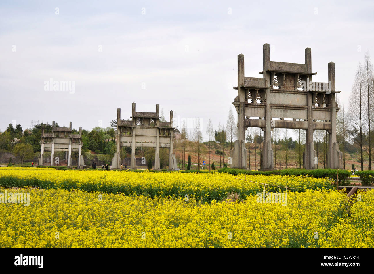 Landmark of Chinese ancient buildings in the rapeseed fields Stock ...