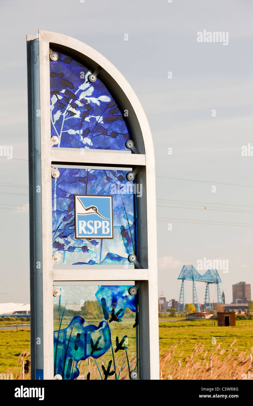 Saltholme rspb reserve hi-res stock photography and images - Alamy