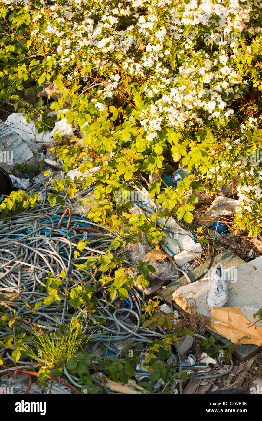 Electrical wiring that has been stolen for the value of the copper wire ...