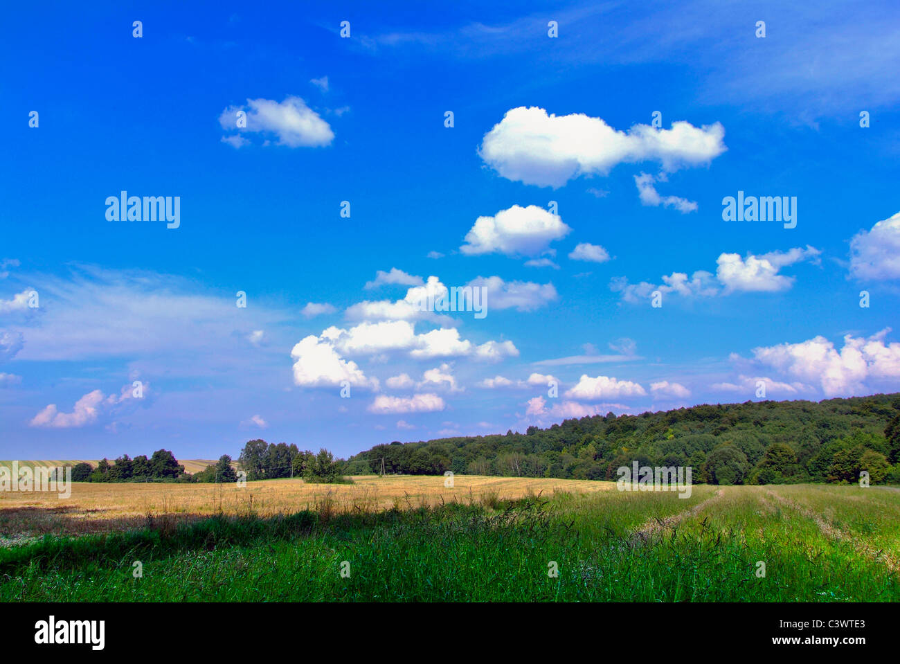 Polish fields in the Roztocze region, South-Eastern Poland Europe Stock ...
