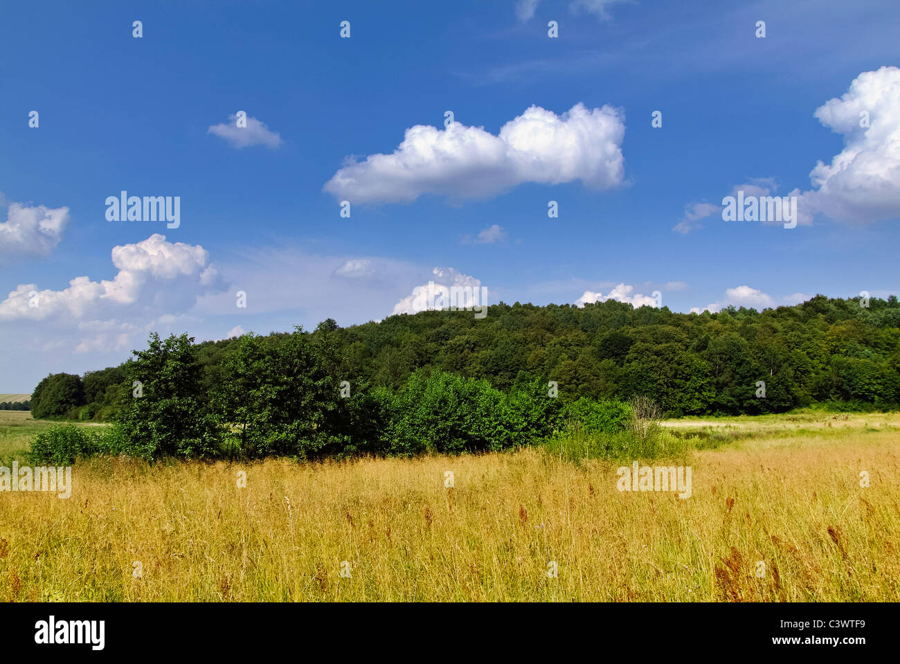 Polish fields in the Roztocze region, South-Eastern Poland Europe Stock ...
