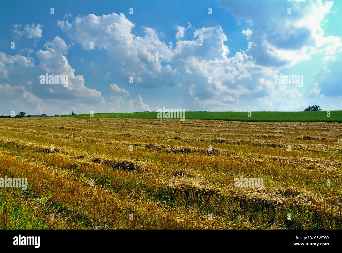 Polish fields in the Roztocze region, South-Eastern Poland Europe Stock ...