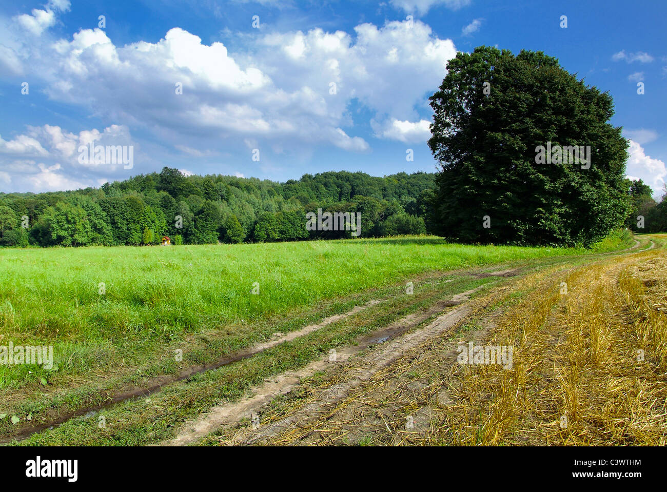 Polish fields in the Roztocze region, South-Eastern Poland Europe Stock ...