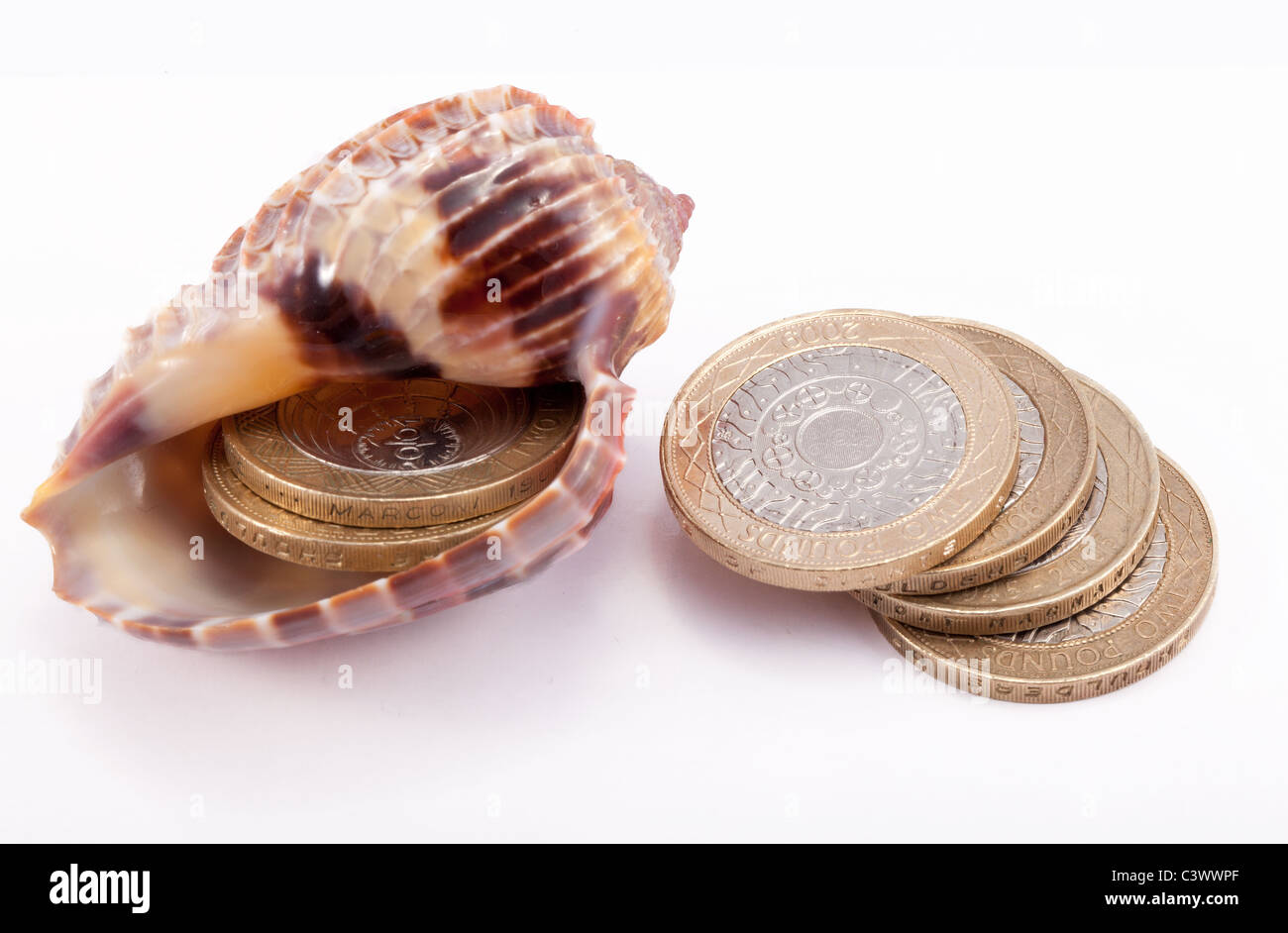 Sea Shell Containing 2 Two Pound Coins (UK) & A Stack of Further Coins ...