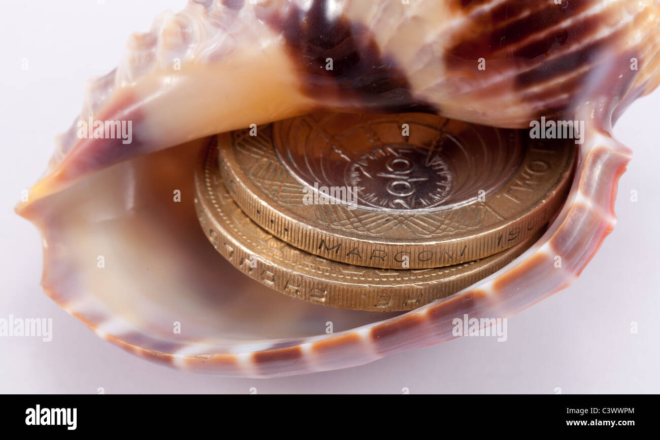 Sea Shell Containing 2 Two Pound Coins (UK) White Background (Close Up ...
