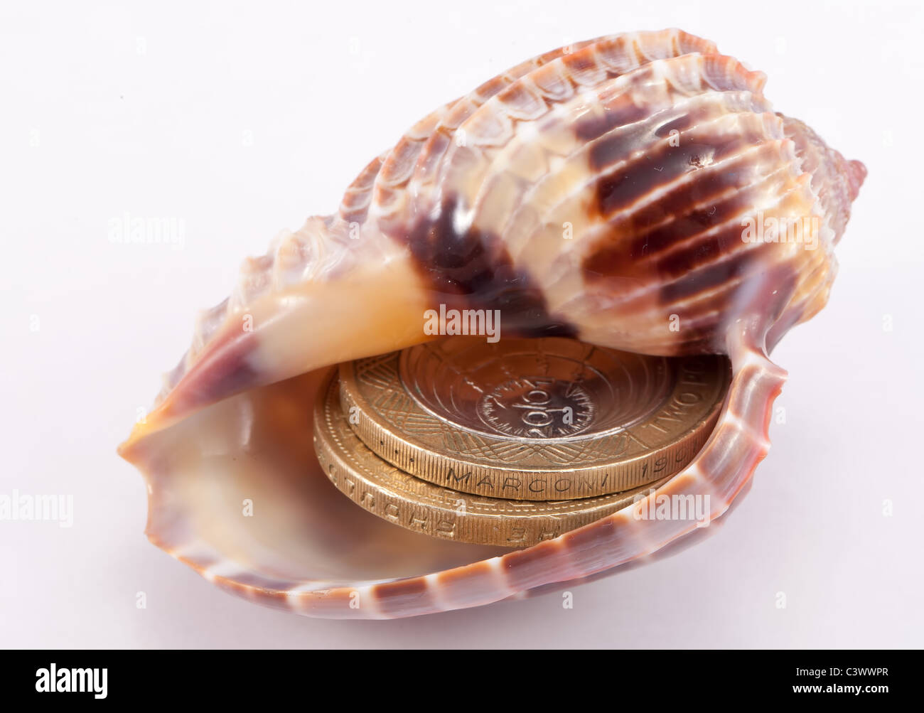 Sea Shell Containing 2 Two Pound Coins (UK) White Background Stock ...
