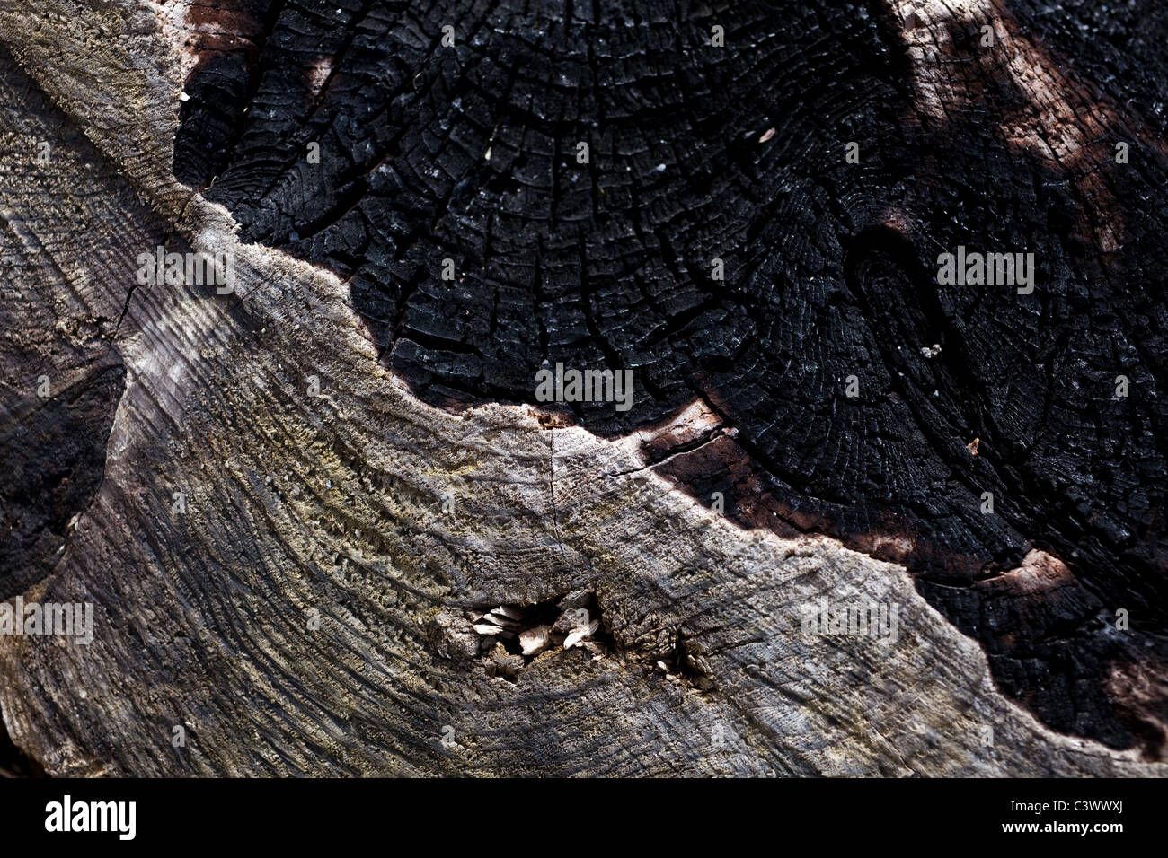 Burnt Wood texture for backrgound Stock Photo - Alamy