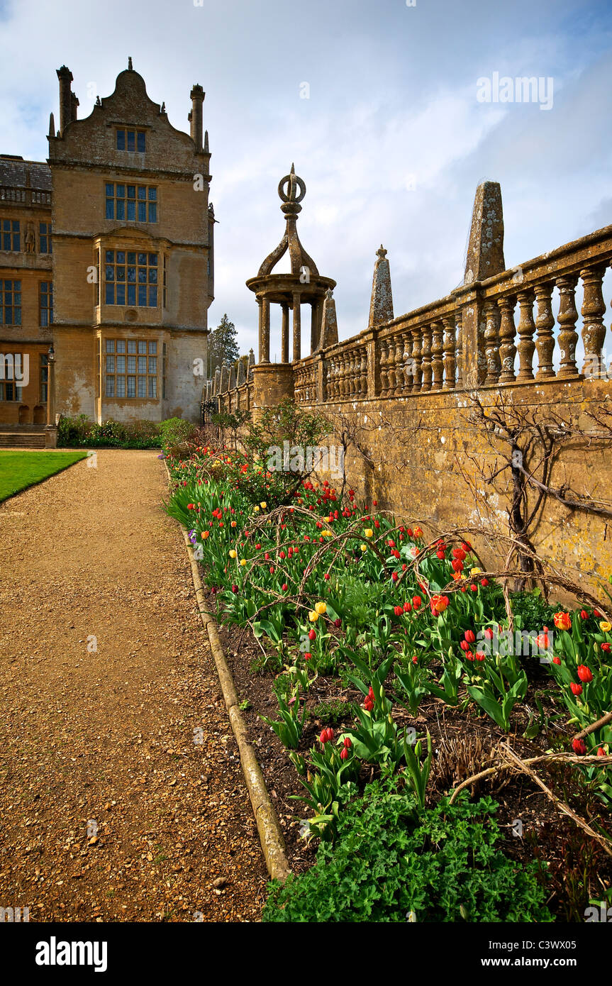 Are Dogs Allowed At Montacute House