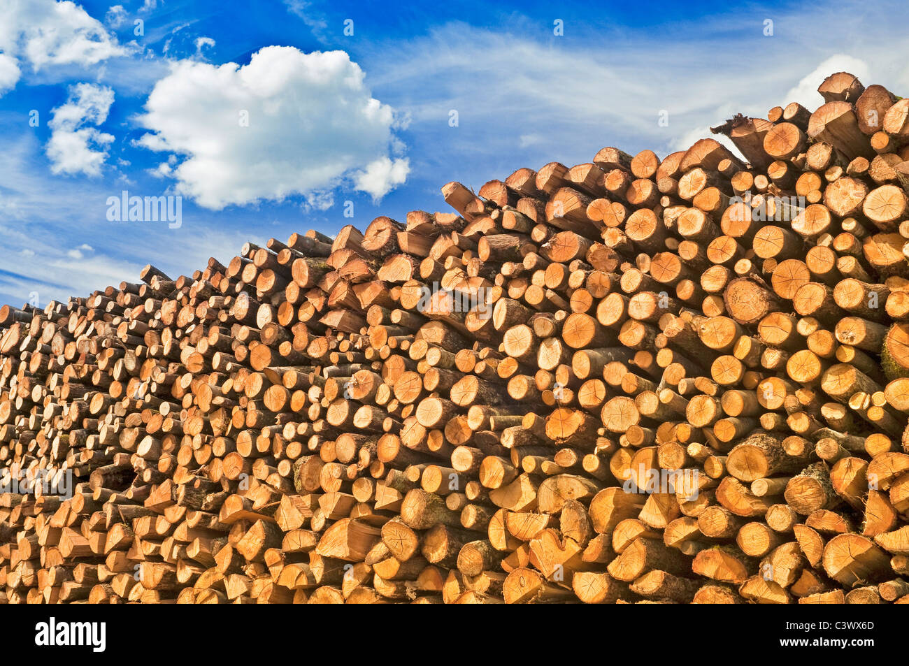 Pile of logs for firewood - France Stock Photo - Alamy