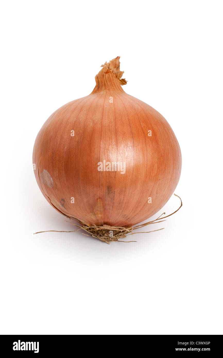 Onion with white background Stock Photo - Alamy