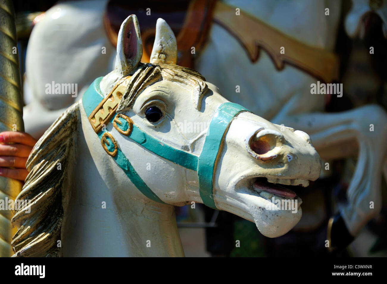 The head of a carousel horse - close up Stock Photo - Alamy