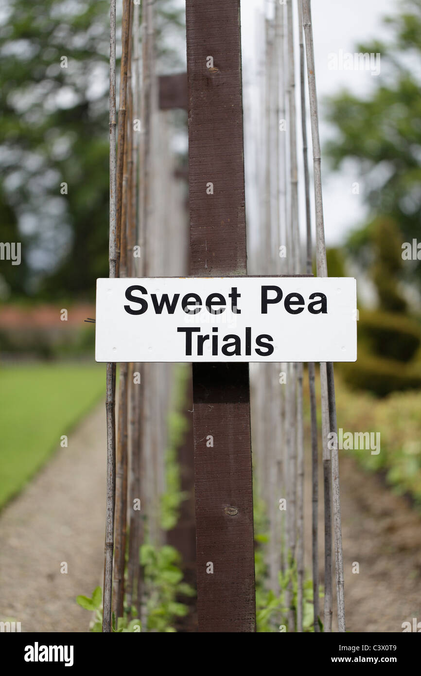 Scottish trials hi-res stock photography and images - Alamy
