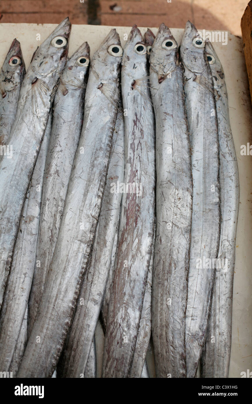 Morroco fish hi-res stock photography and images - Alamy