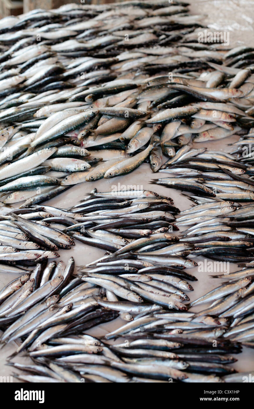 Fish Market in the Medina in Essaouira, Morocco Stock Photo - Alamy