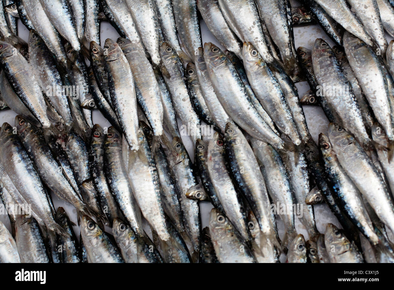 Essaouira fish market hi-res stock photography and images - Alamy