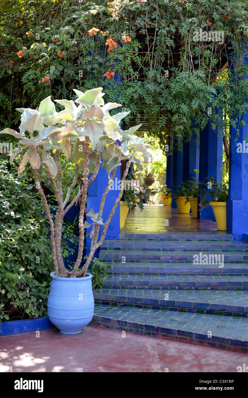 The blue garden marrakech hi-res stock photography and images - Alamy