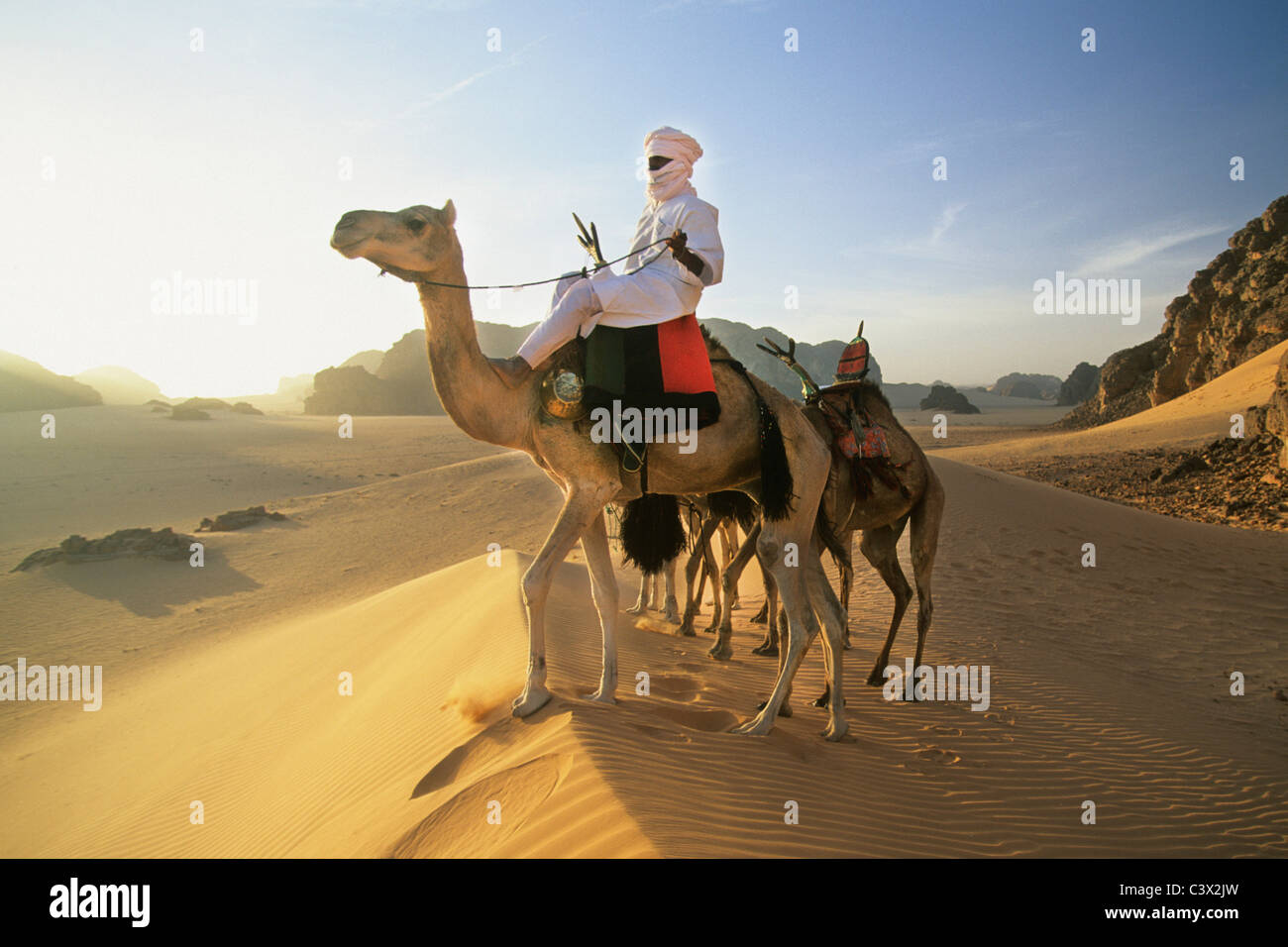 Algeria, near Djanet, Man of Tuareg tribe and camel caravan. Sahara ...