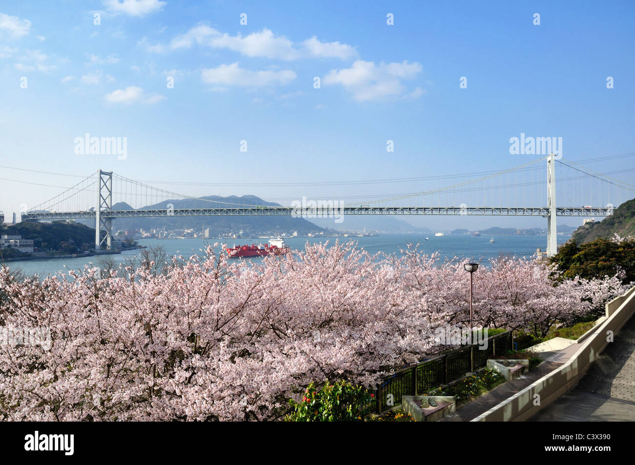 Kanmonkyo Bridge and Cherry Blossom Trees Stock Photo - Alamy