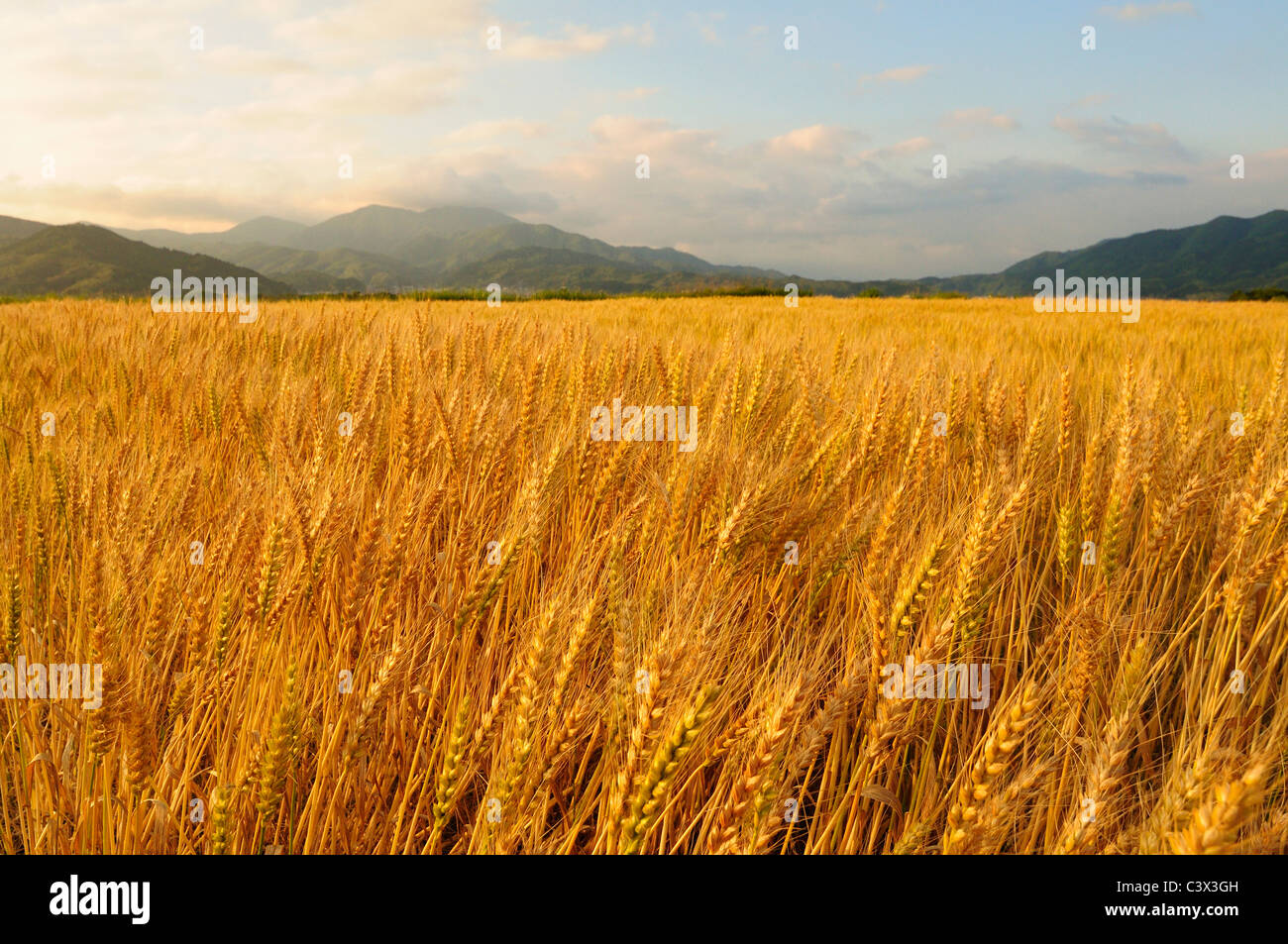 Shimonoseki yamaguchi japan asia hi-res stock photography and images ...