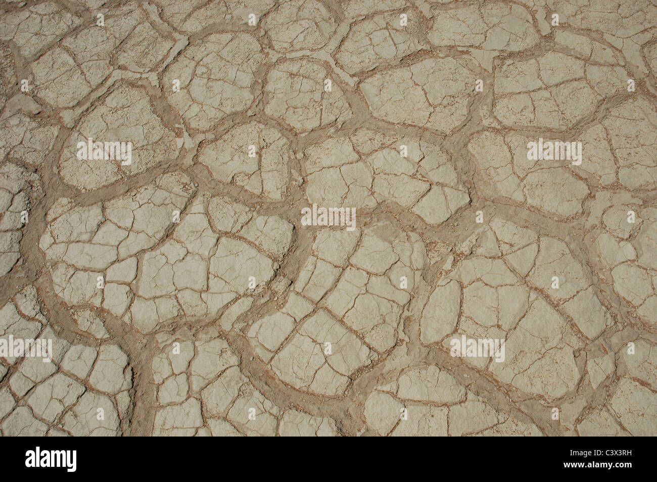 Baked earth, Dead Vlei, Namibia, Africa Stock Photo - Alamy