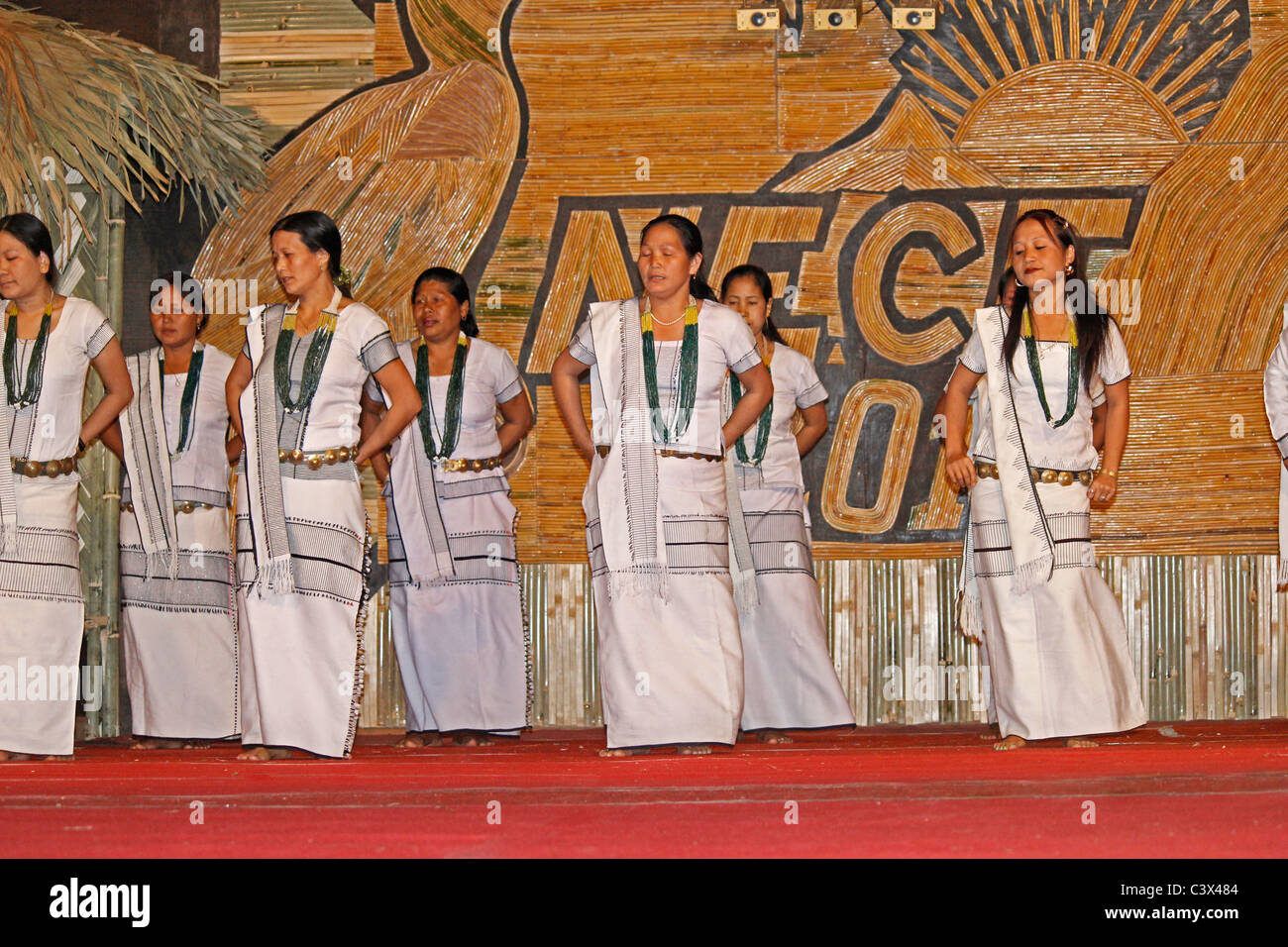 Traditional Dance of Adi tribes during Namdapha Eco Cultural Festival, Miao, Arunachal Pradesh ...