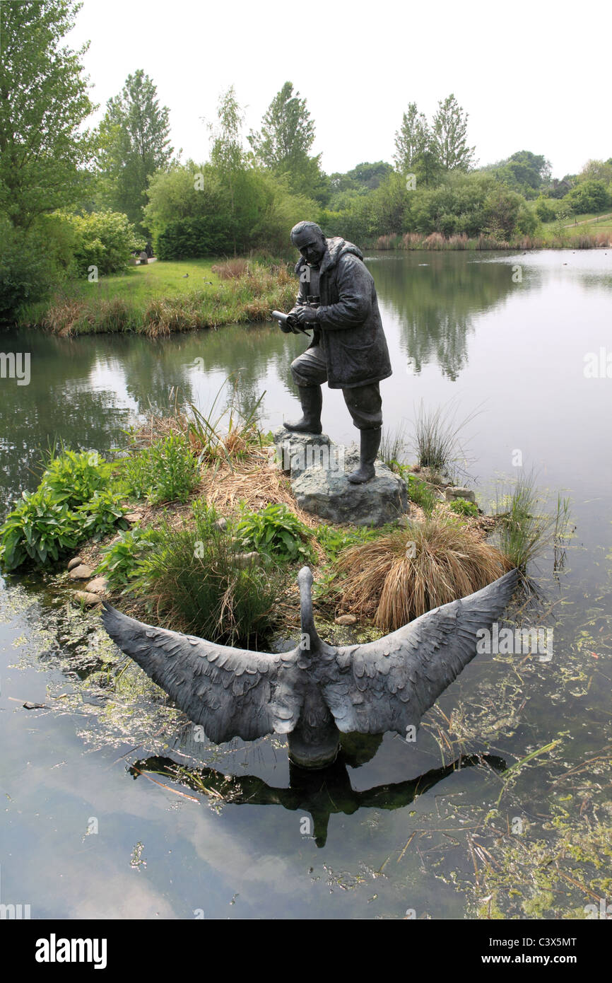 Peter scott birds hi-res stock photography and images - Alamy